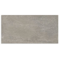 Astra Grey Matt Tile 300x600 - Tile Stone Paver
