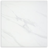 Carrara Satin Matt Tile 600x600 - Tile Stone Paver