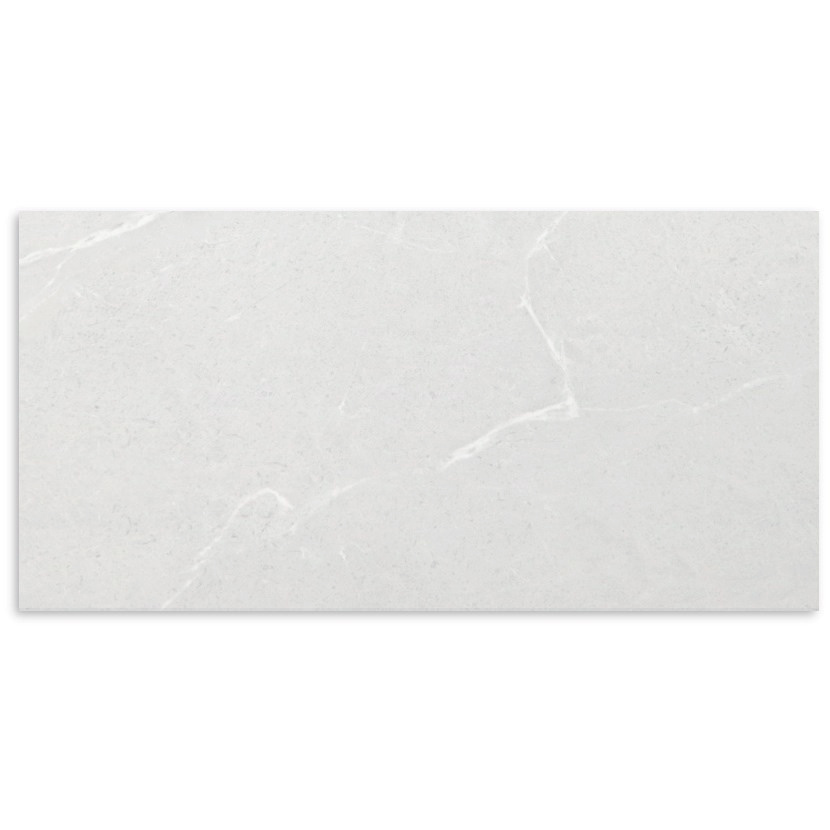 Hawthorn Light Grey Gloss Wall Tile 300x600 - Tile Stone Paver