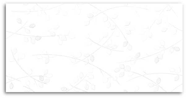 Folio Young Birch Bianco (Gloss) Wall 300x600 - Tile Stone Paver